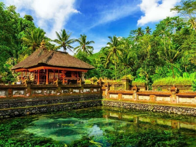 Bali: Ubud Spiritual Journey with purification ceremony. - Exploring Balis Sacred Sites: What You Can Expect