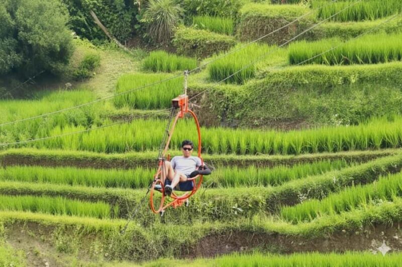 Bali/Ubud: Swing, Zipline & SkyBike Rice Terrace Adventure - Who Should Consider This Tour?