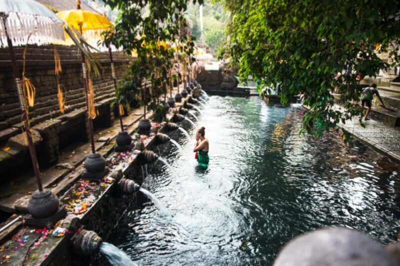 Bali: Ubud (Temple, Spring, Rice Terraces, & Waterfall) - What Makes This Tour Valuable