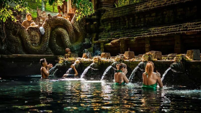 Bali: Ubud Temples, Rice Terraces, & Waterfall Day Tour - Final Stop and Drop-Off