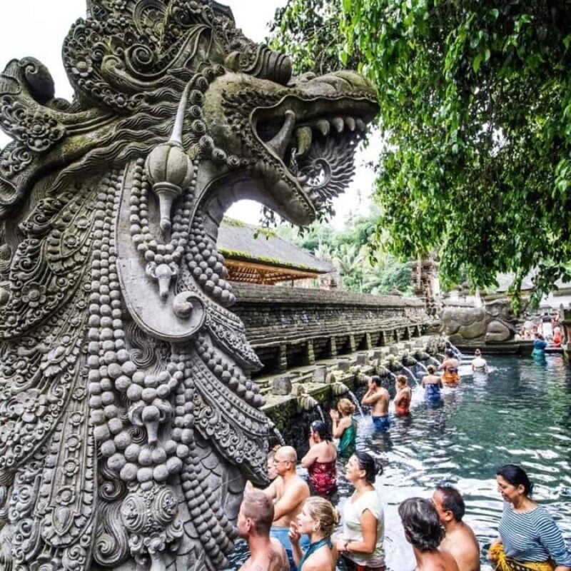 Bali Ubud Tour Best of Ubud Higlight with private Transfers - Key Points