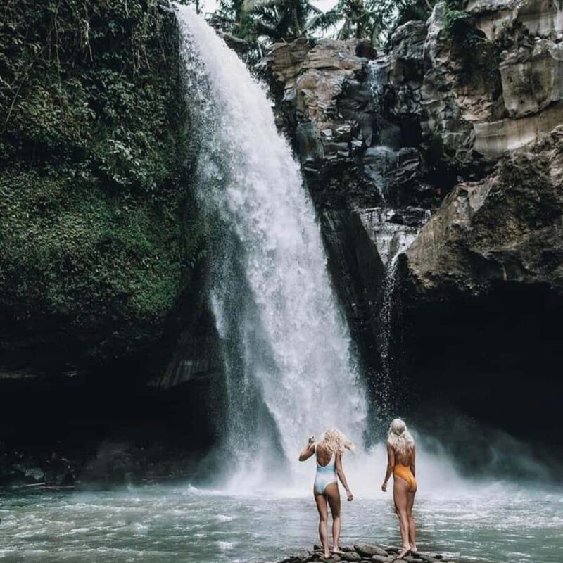 Bali Ubud Tour Best of Ubud Higlight with private Transfers - The Sum Up