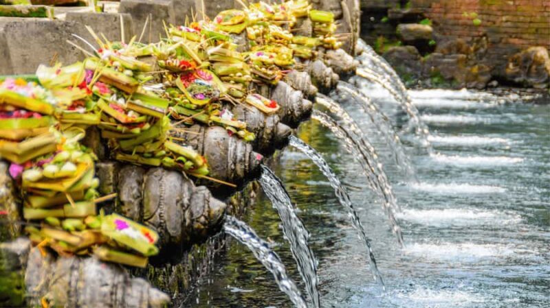 Bali: Ubud Tour with Sacred Monkey Forest & Rice Terraces - Practical Tips for Your Day