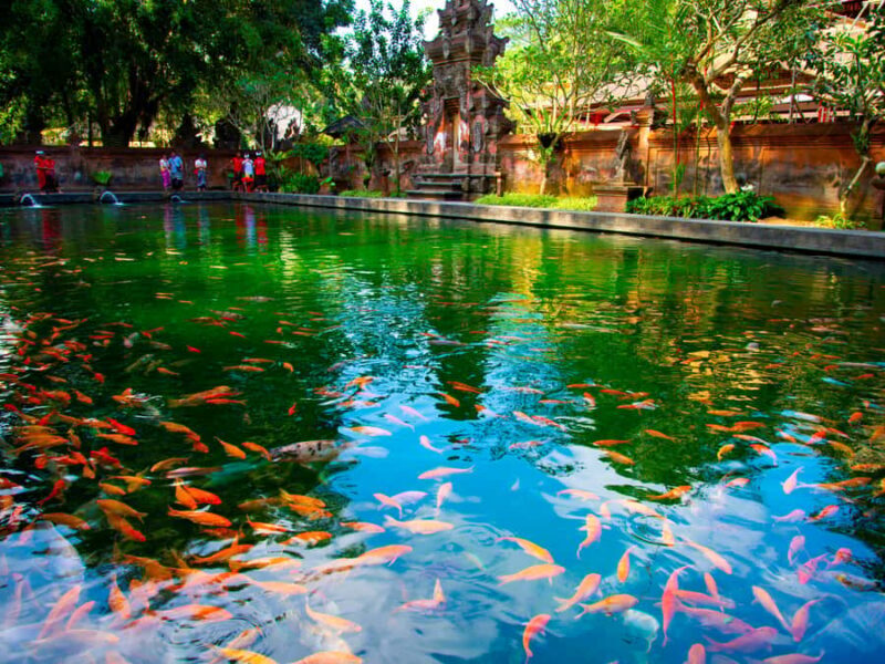 Bali: Ubud Traditional Balinese Purification - Who Is This Tour Best For?