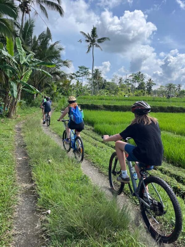 Bali: Ubud Village Cycling Tour with Lunch and Swim - Introduction
