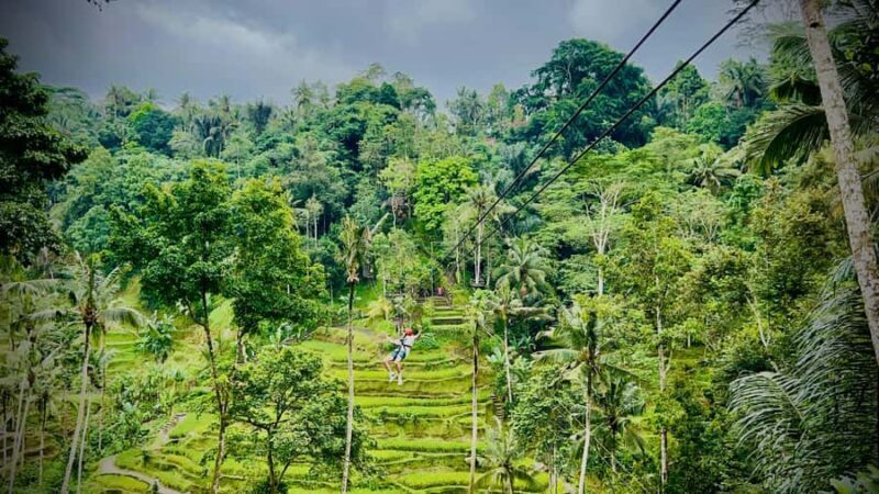 Bali: Ubud Zipline, Goa Raja Waterfall and swing adventure - Final Thoughts
