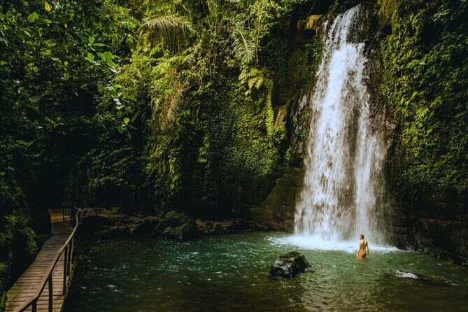 Bali Ubud Zipline Jungle Swing and Waterfall Tour - Who Will Love This Tour?