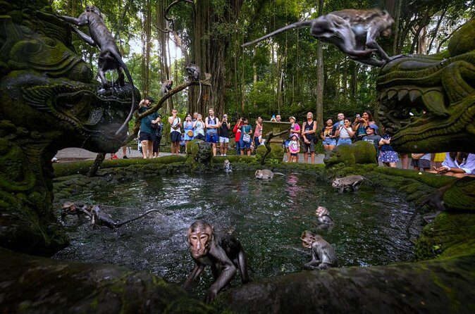 Bali Ubud Zipline, Monkey Forest and Waterfall Adventure - Who Will Enjoy This Tour?