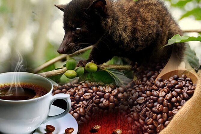 Bali: Ubud Zipline, Swing, Sky Bike in a Private Rice Terrace - Who Will Love This Tour?