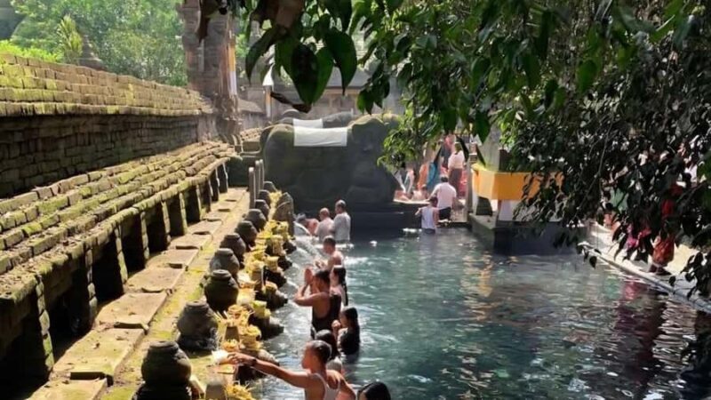 Bali: Ultimate Bali Motorbike Tour with Local Guided - Final Thoughts