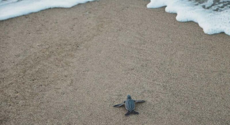 Bali: Uluwatu Tour With Flexible Itinerary Options - 1. Is this tour suitable for solo travelers?