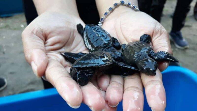 Bali: Uluwatu Tour With Flexible Itinerary Options - 2. How much walking is involved?