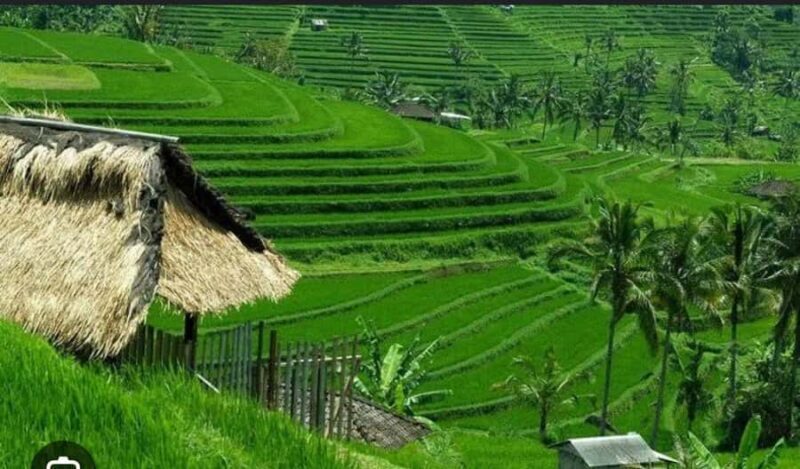 Bali: Unesco Tour with Batur Karu Temple & Jatiluwih - Key Points