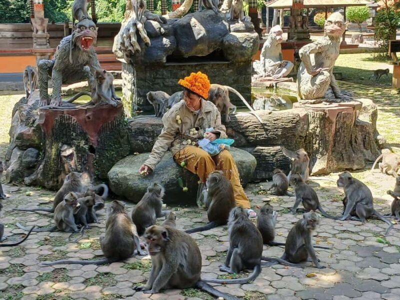 Bali: UNIQUE ACTIVITY OF FEEDING MONKEYS - Key Points