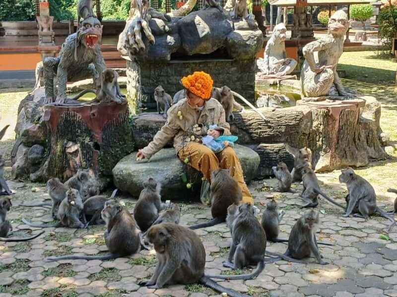 Bali: UNIQUE ACTIVITY OF FEEDING MONKEYS - An In-Depth Look at the Monkeys Feeding Tour in Bali