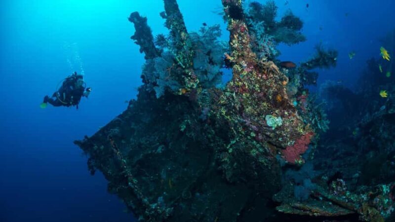 BALI: USAT SHIPWRECK DIVE WITH HOTEL TRANSFERS & LUNCH - Who Should Consider This Experience?