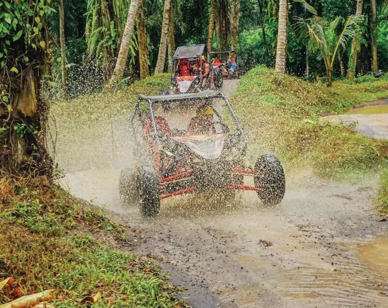 Bali: UTV Buggy and Zipline Adventure with Meal - The Showstopper: Zipline at Tegalalang