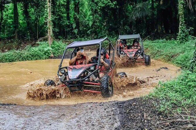 Bali UTV Jungle Buggy Adventure with Private Transfer and Lunch - What to Expect on the Bali UTV Jungle Buggy Adventure