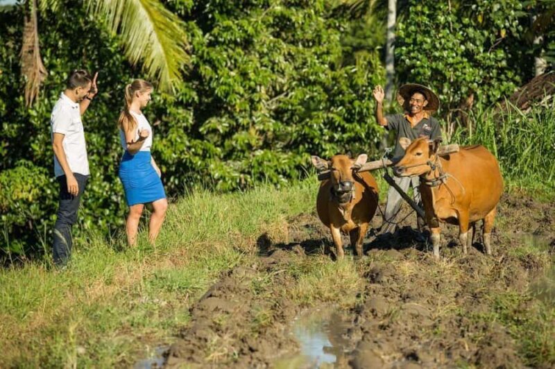 Bali: Village Cultural Tour with Cooking Class - Key Points