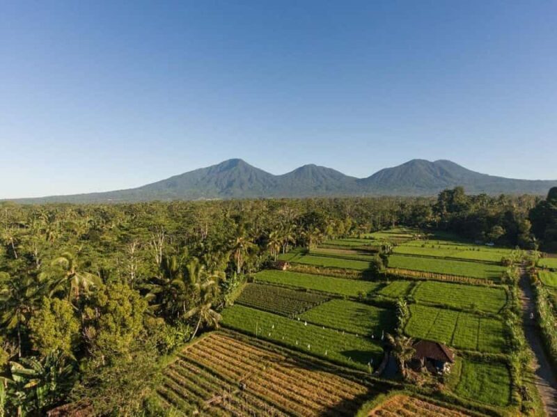 Bali: Village Cultural Tour with Cooking Class - Who Would Love This Tour?