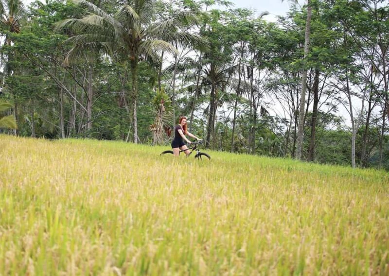 Bali: Village Cycling, Farm Tour & River Tubing in Ubud area - Key Points