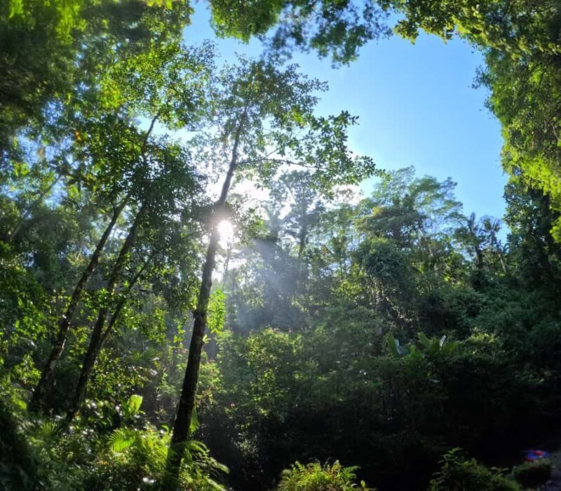 Bali: Village Cycling, Farm Tour & River Tubing in Ubud area - Who Should Consider This Tour?