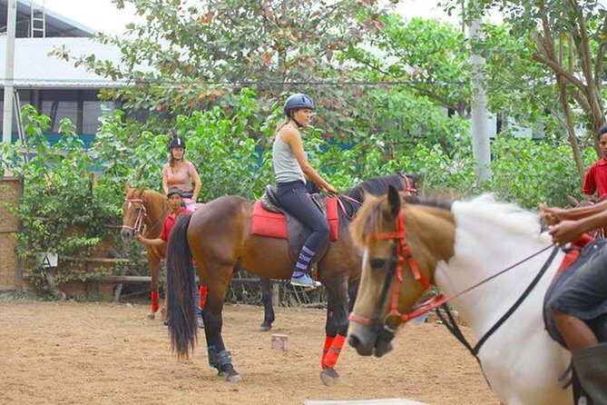Bali Village Experience Horse Ride - Who Will Love This Tour?