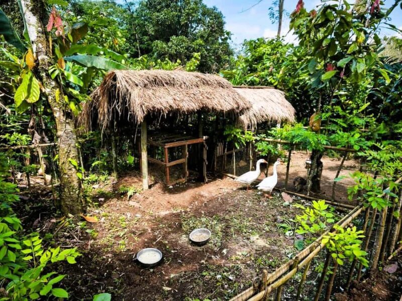 Bali Village Sunset Experience  Jamu, Local Sweets & Dinner - Frequently Asked Questions