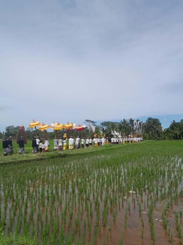 Bali: Village Tour with Coconut Oil and Chocolate Factory - Key Points