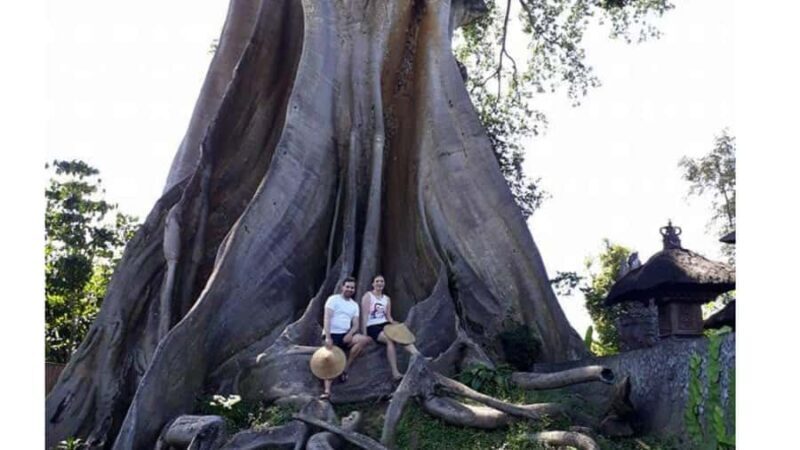 Bali: Village Tour with Coconut Oil and Chocolate Factory - In-Depth Look at the Tour Experience