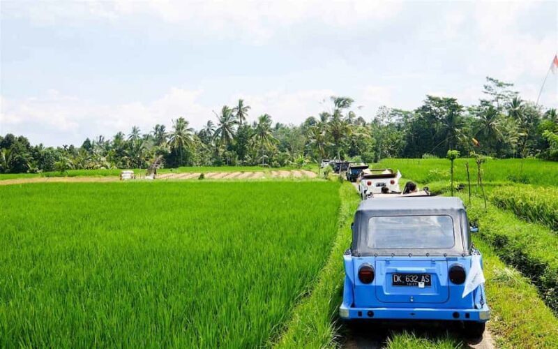 Bali: Vintage VW Jeep Countryside Safari - Practicalities and Value