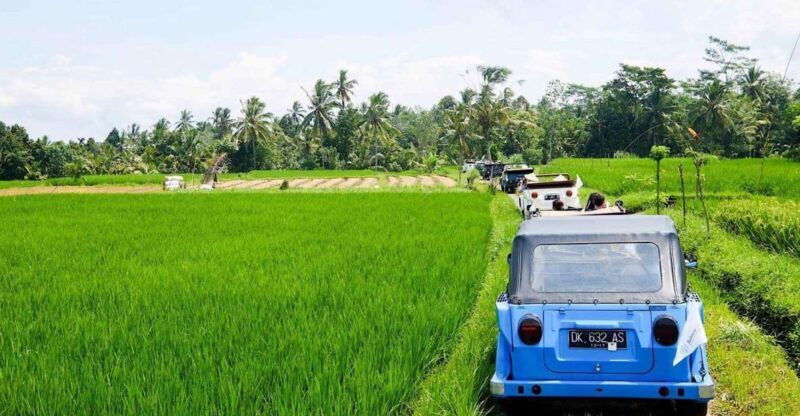 Bali: Vintage VW Jeep Countryside Safari - Authenticity and Local Interactions