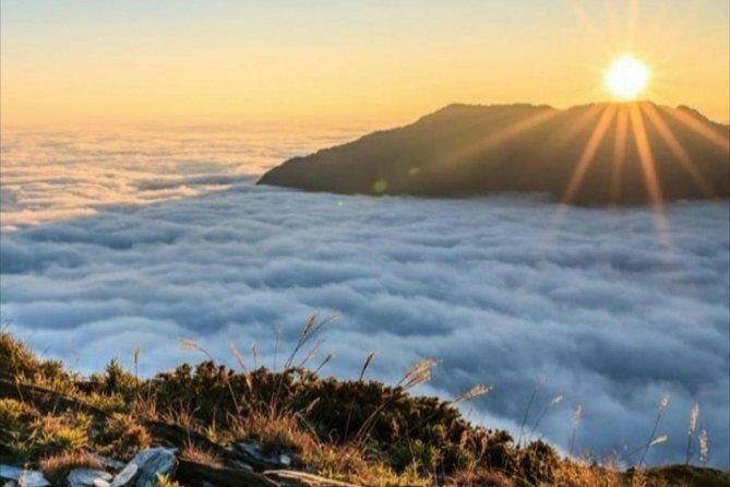 Bali Volcano Sunrise Mt Batur Private tour - An In-Depth Look at the Bali Volcano Sunrise Tour