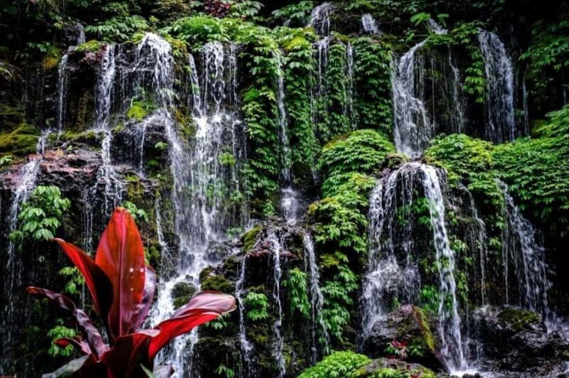 Bali: Wanagiri Hidden Hills, Waterfall, and Temples Tour - Visiting Wanagiri Hidden Hills: The Ultimate Photo Spot