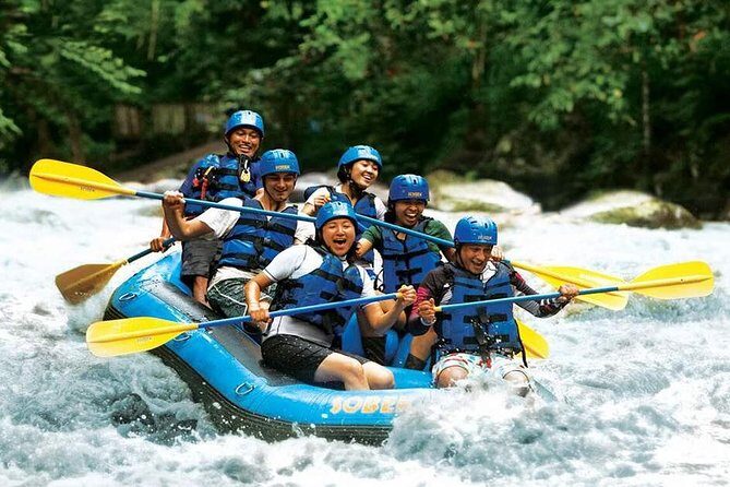 Bali Water Rafting with Lunch & Private Transfer - What Makes This Tour Special?