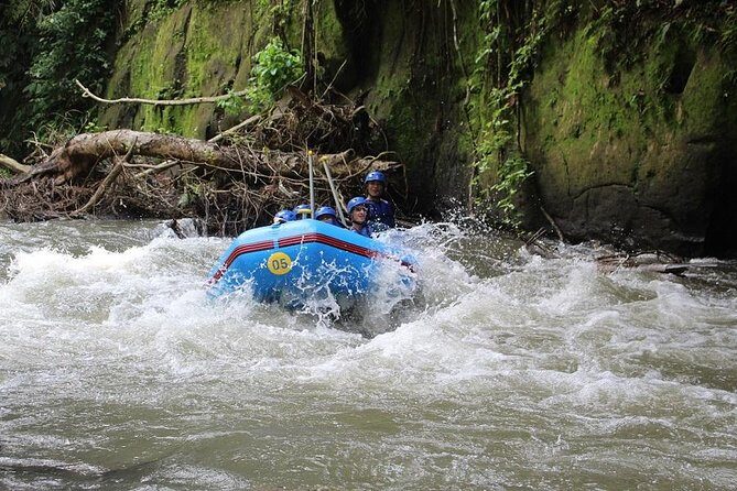 Bali Water Rafting with Lunch & Private Transfer - Final Thoughts