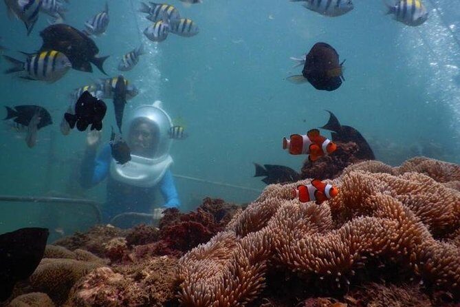 Bali Water Sport : Sea Walker,Donut Boat and Banana Boat with Hotel Transfers - Key Points