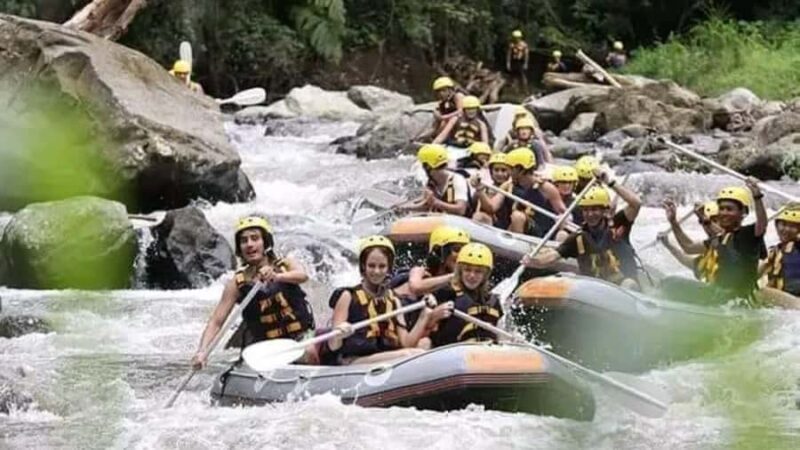 Bali Waterfall Gorilla Cave ATV, Rafting and Monkey Forest - The Sum Up: Who Will Love This Tour