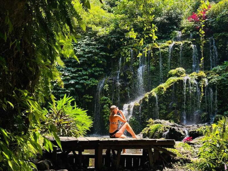Bali: Waterfall in the forest & twin lake view tour - FAQ