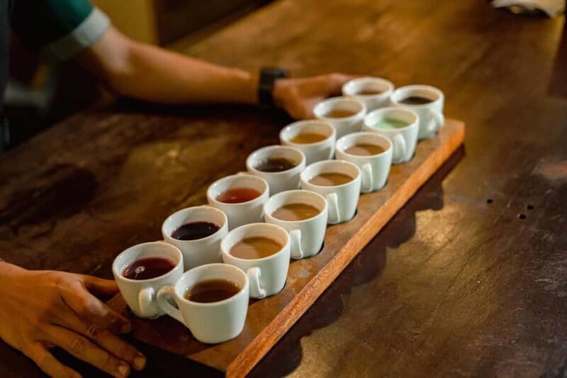 Bali: Waterfall Purification Ritual and Coffee Tour - Practical Details and Transportation