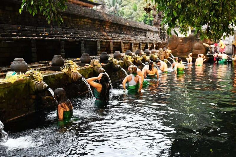Bali: Waterfall, Tirta Empul & Traditional Village Day Trip - The Itinerary: What You’ll Experience