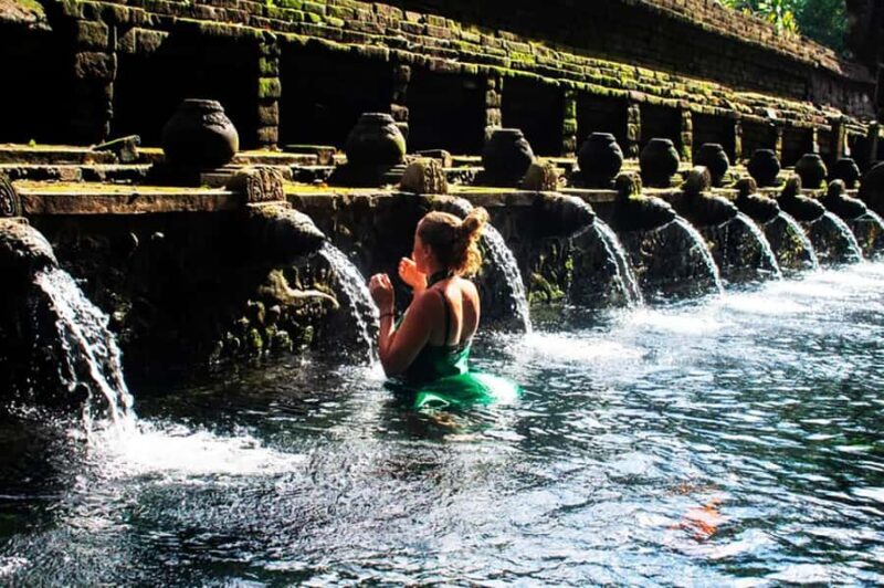 Bali: Waterfall, Tirta Empul & Traditional Village Day Trip - Who Will Love This Tour?