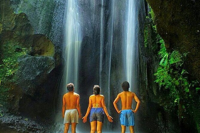 Bali: Waterfall Tour and Ubud Monkey Forest Private Day Trip - Authentic Nature and Cultural Highlights