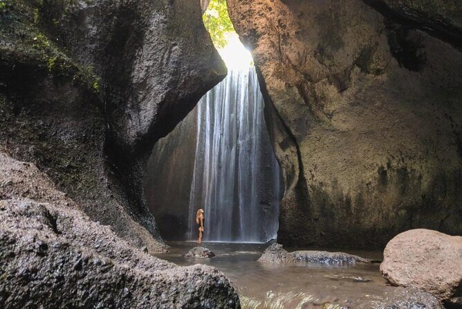 Bali: Waterfall Tour and Ubud Monkey Forest Private Day Trip - Who Will Love This Tour?