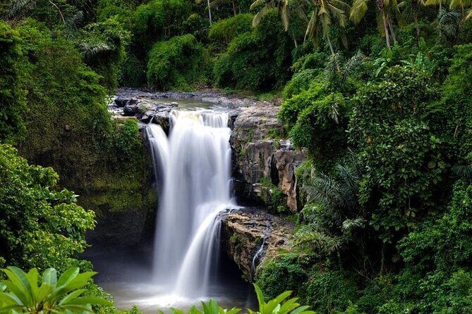 Bali Waterfall Tour: Nature's Hidden Gems of Bali All Inclusive - Who Will Enjoy This Tour?
