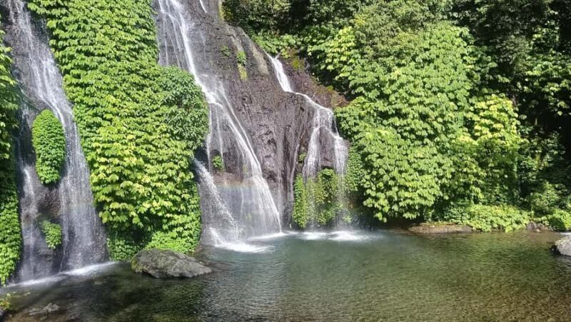 Bali: Waterfalls, Lake Buyan, and Honey Farm Tour - Key Points