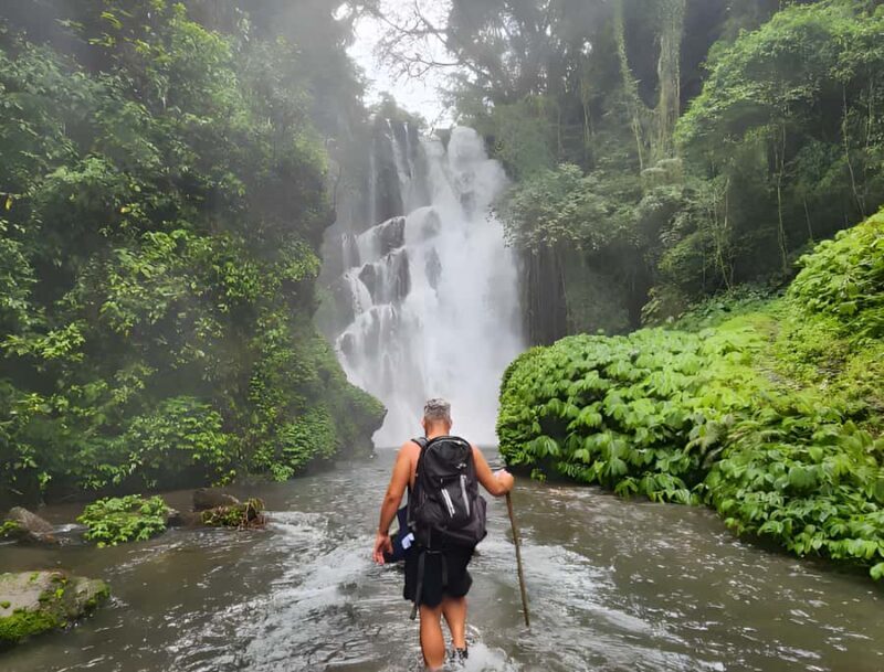 Bali: Waterfalls, Lake Buyan, and Honey Farm Tour - Who Is This Tour Best For?