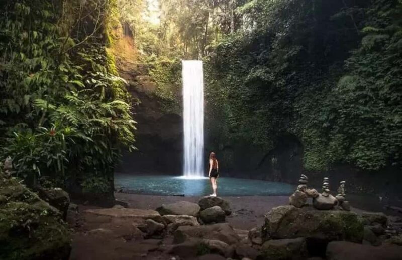 Bali Waterfalls Private Day Tour - Who Will Love This Tour?