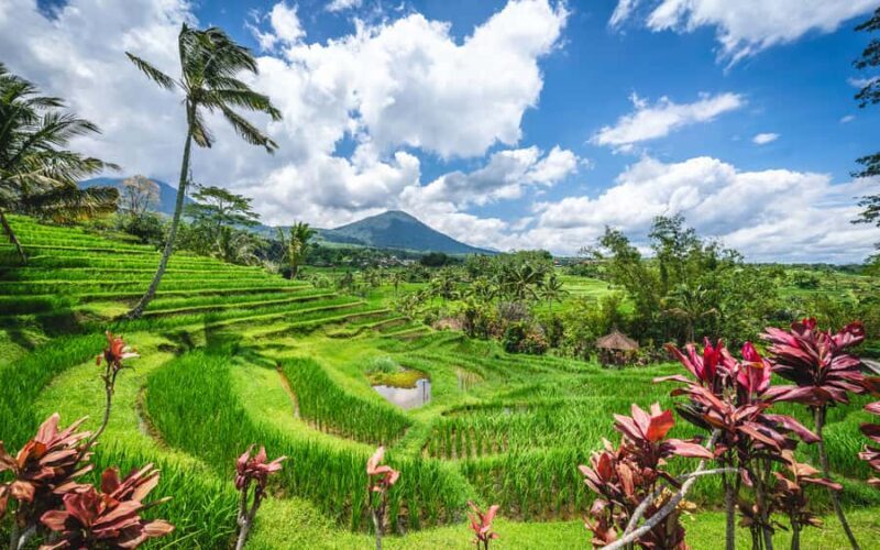 Bali: Waterfalls, Temples, and Rice Terraces Scenic Tour - Who Should Consider This Tour?