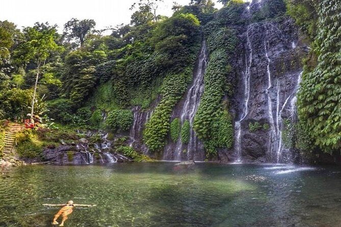 Bali Waterfalls Tour - One Day Private Tour - Who is This Tour Best Suited For?
